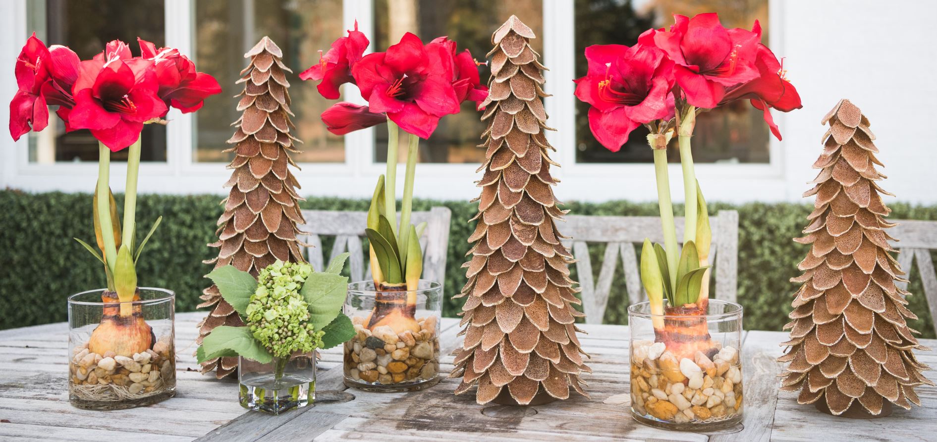 Holiday – New Growth Designs