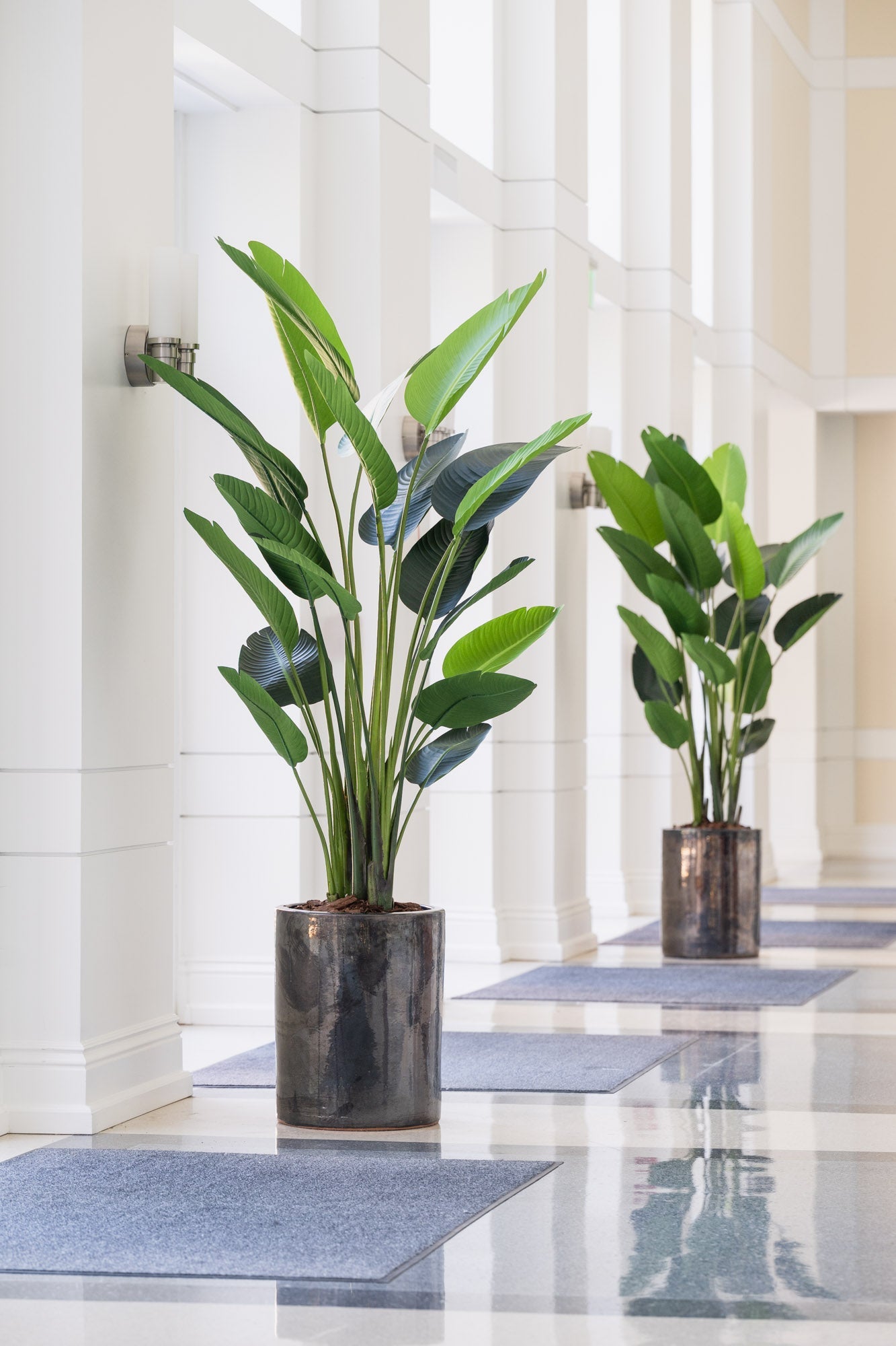 Wholesale Artificial Palm Trees – New Growth Designs