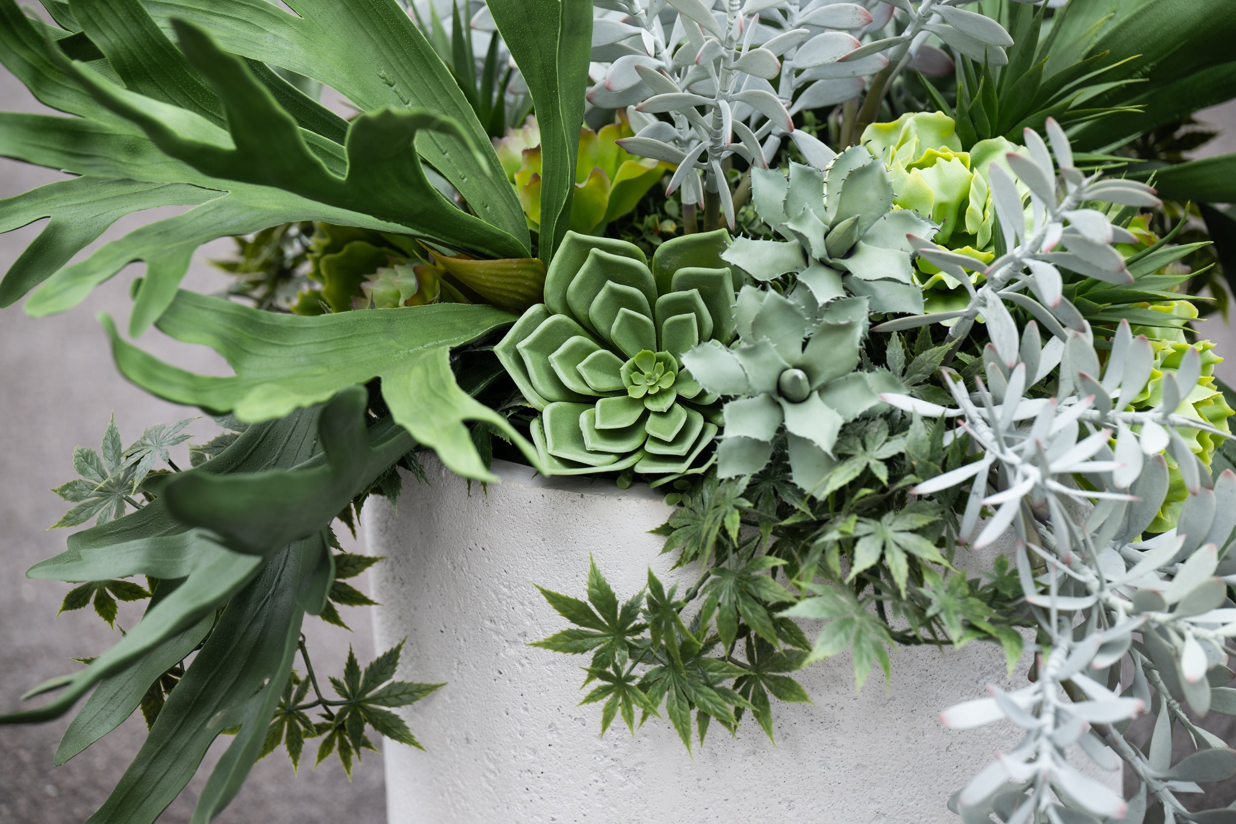 Enduraleaf Mixed Planters – New Growth Designs