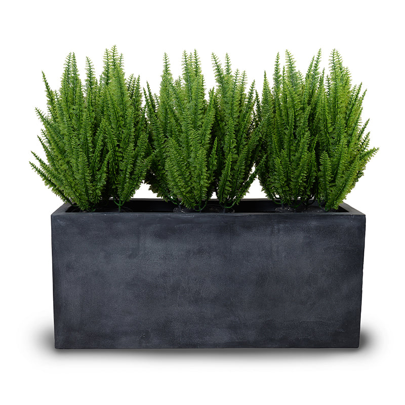Foxtail Fern x 3 in 45" Fiberglass Trough – New Growth Designs