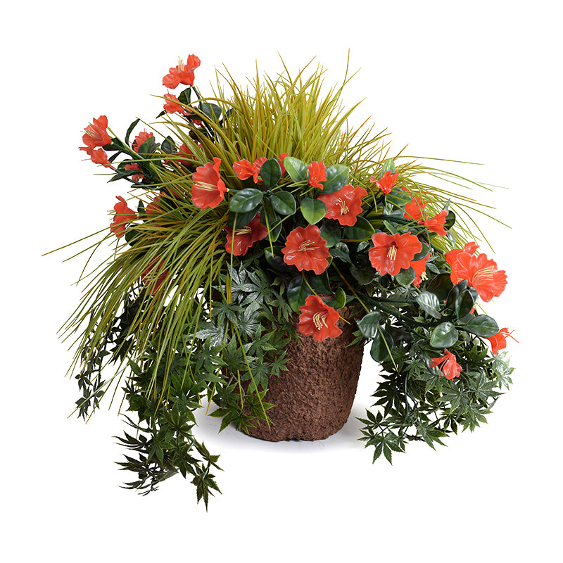 Petunias & Japanese Maple Arrangement – New Growth Designs