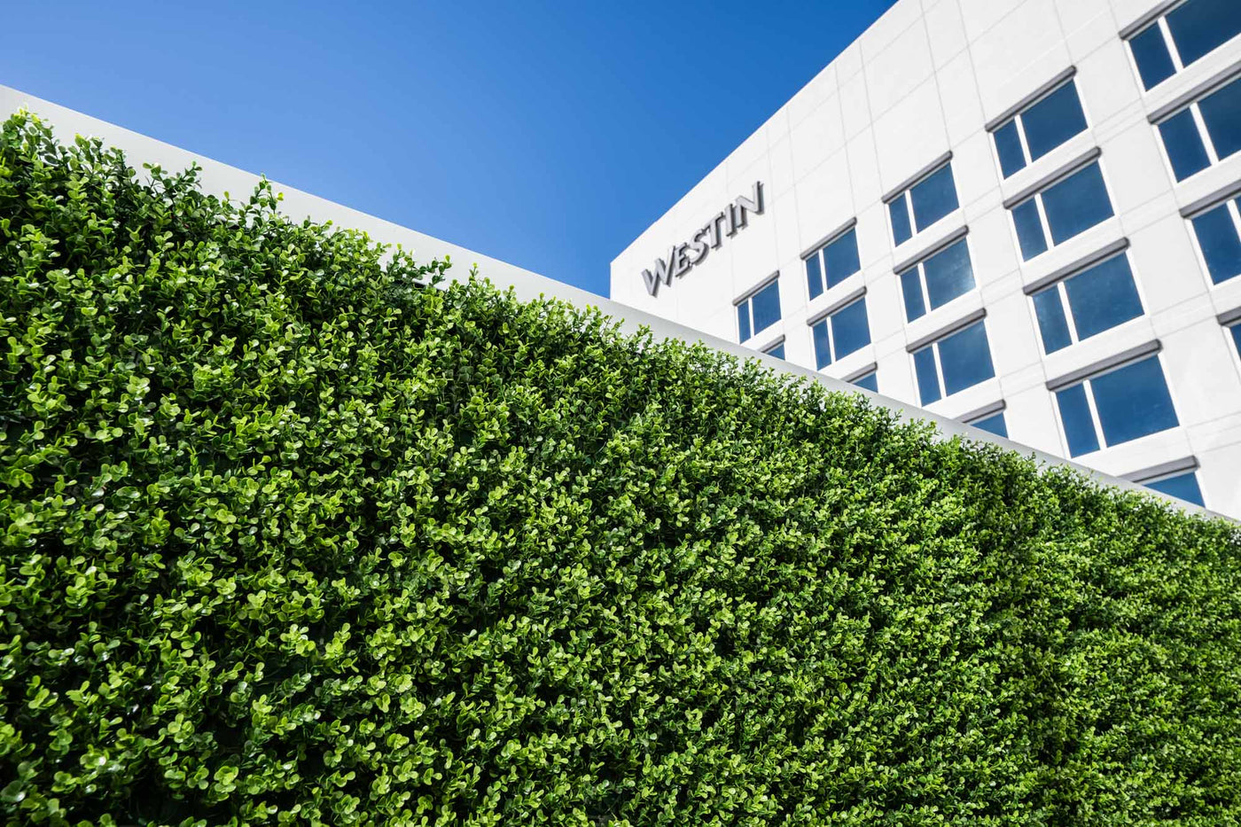 Enduraleaf Outdoor Artificial Greenery – New Growth Designs