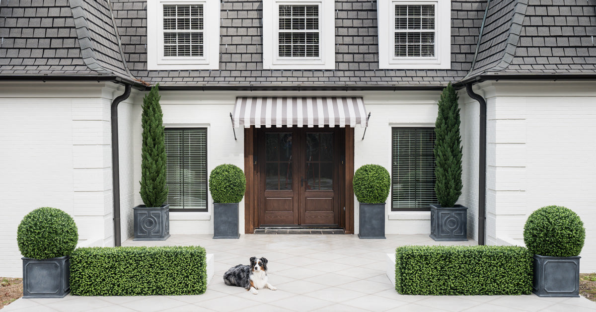 Enduraleaf Trees & Shrubs – New Growth Designs