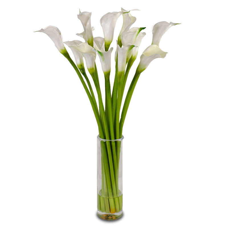 Calla Lily Stems in Glass 32"H – New Growth Designs
