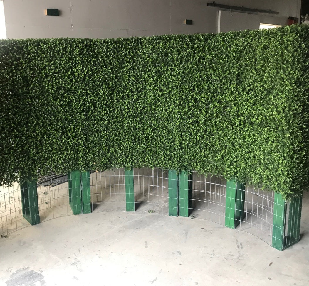 Boxwood Custom Hedges – New Growth Designs
