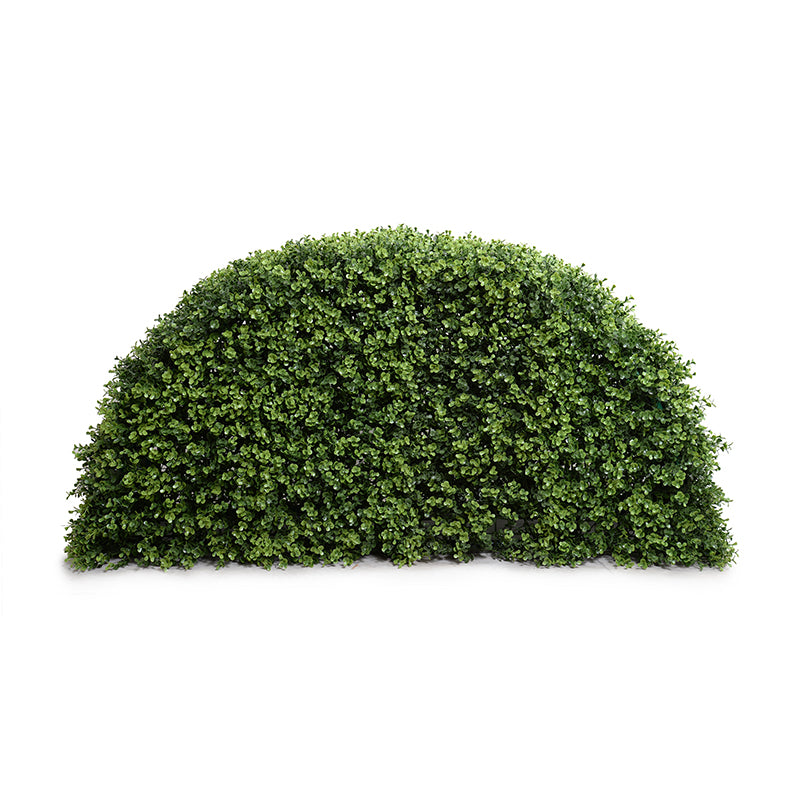 Boxwood Arc Hedge – New Growth Designs