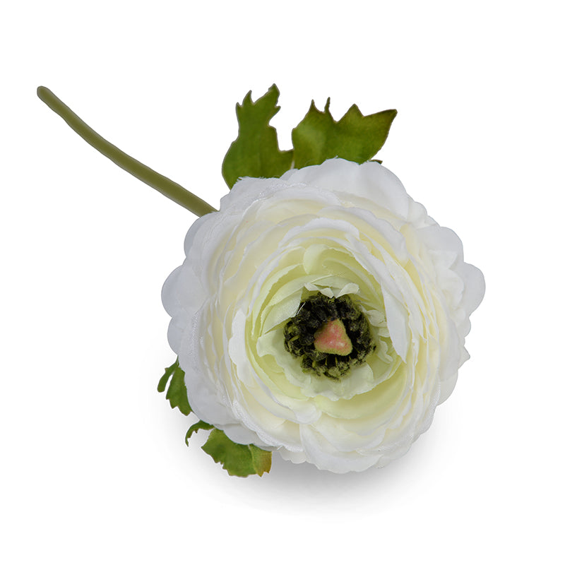 Ranunculus Stem, 15"L - White – New Growth Designs