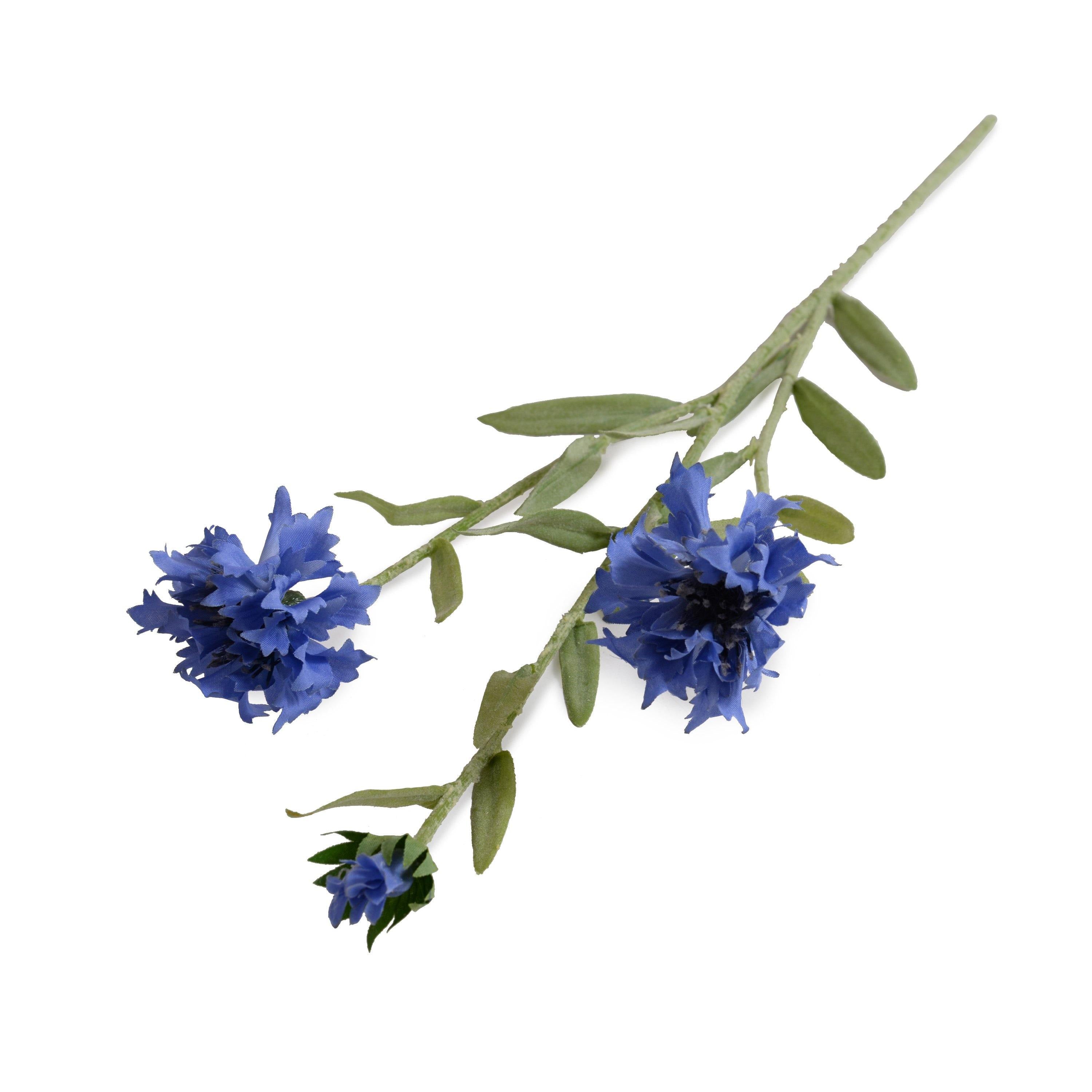 Bachelor's Button (Cornflower) stem, 23" L - Medium Blue – New Growth ...